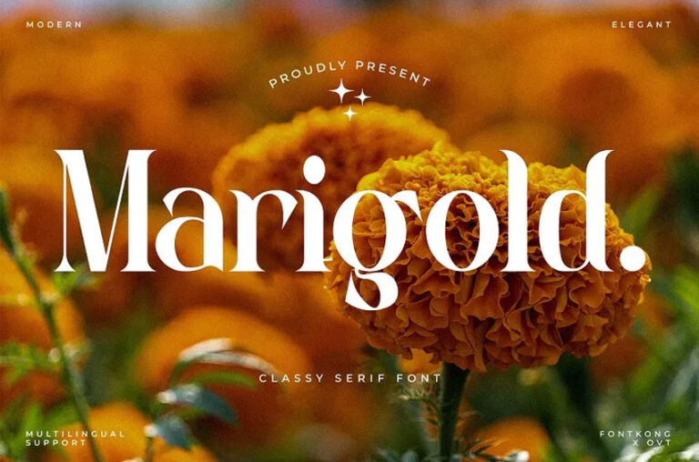 Marigold Font - Creative Fonts