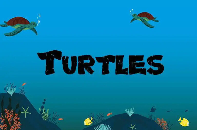 Turtles Font - Creative Fonts