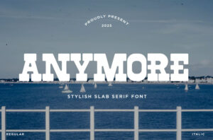 Anymore Slab Font - Creative Fonts
