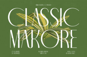 Classic Makore Font - Creative Fonts