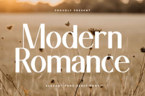 Modern Romance Font - Creative Fonts